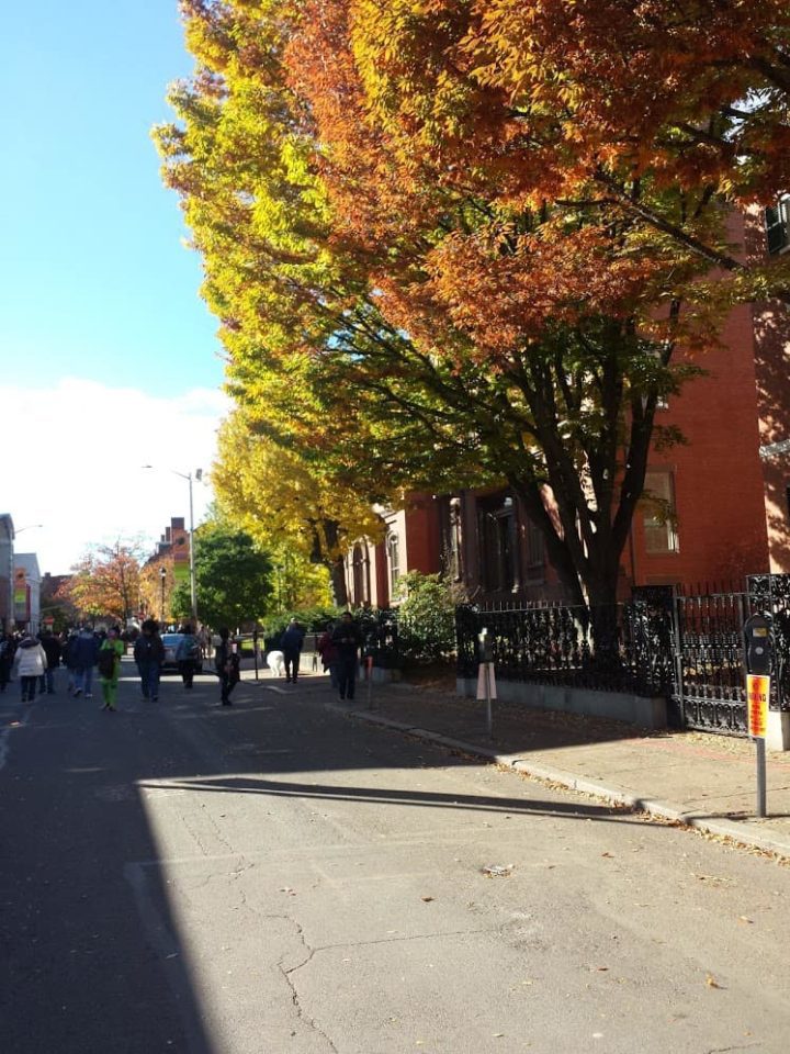 Salem Trolley Tour - Everything You Need to Know About This Riding Tour