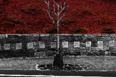 Proctor's Ledge Memorial | History, Witch Trials, More! - tosalem.com