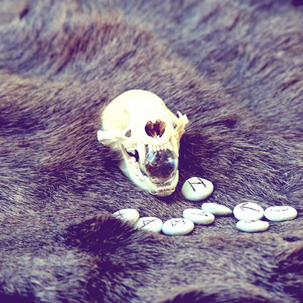 What is Neo Druidism? Druid Ancestry, Magick, & Celtic History