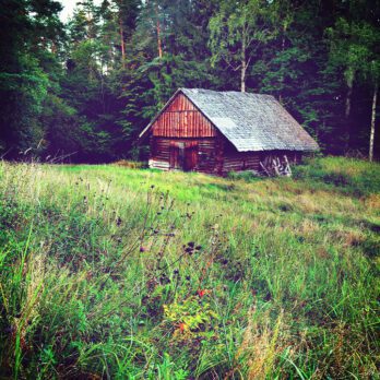 Salem Witches - An Overview - ToSalem